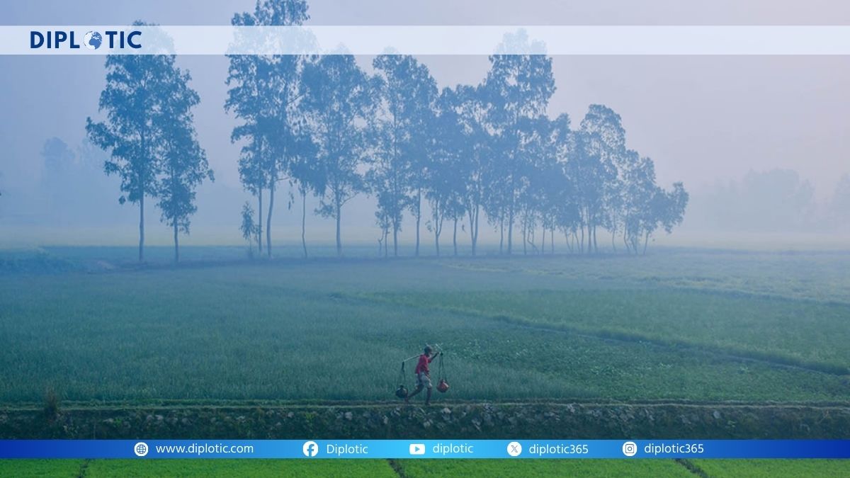 How Is Bangladesh's Cold Wave Affecting Winter Crops?